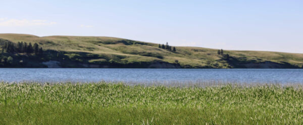Home - First Nations Drinking Water